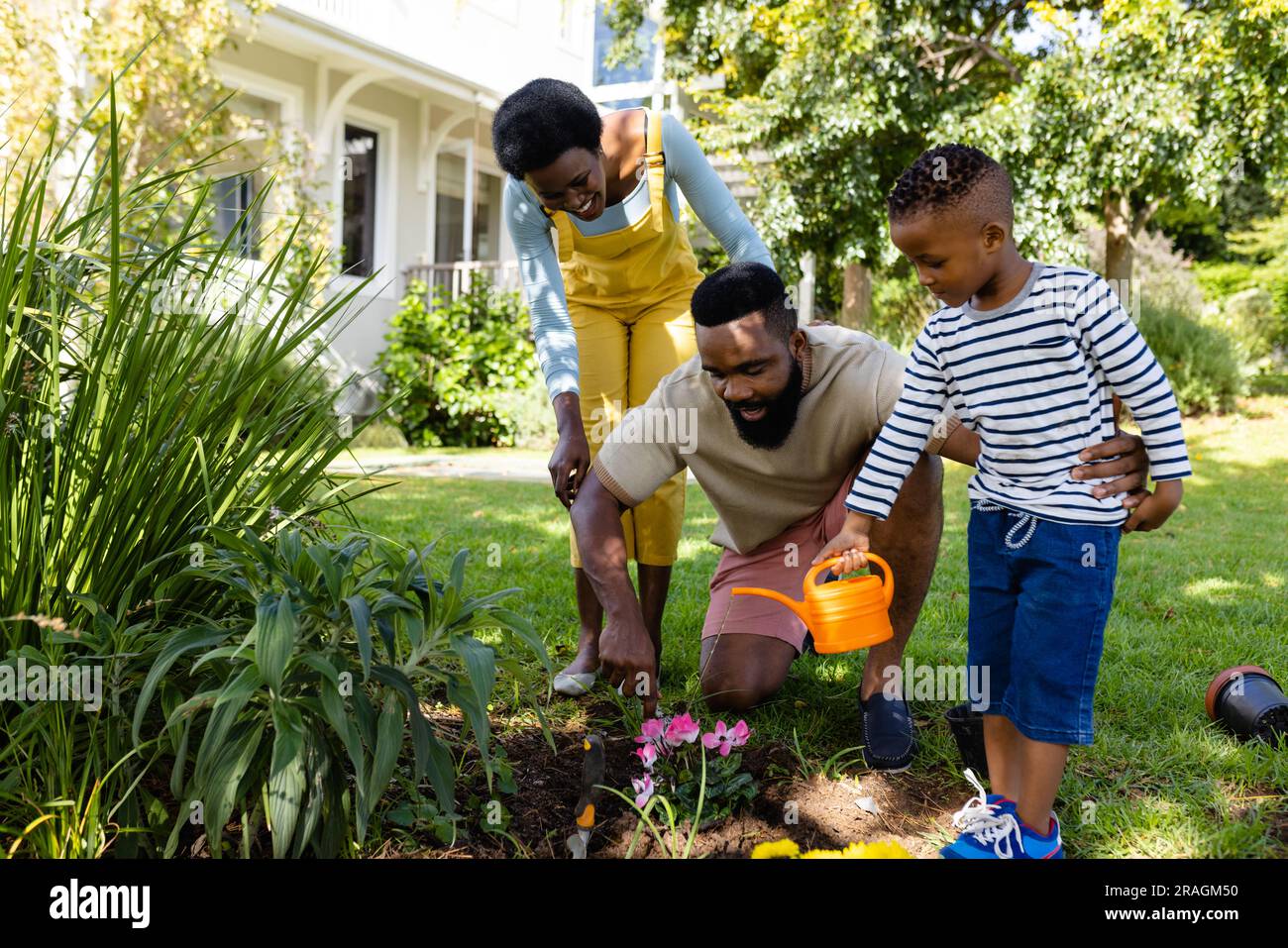 African american mother looking at father and son planting fresh ...