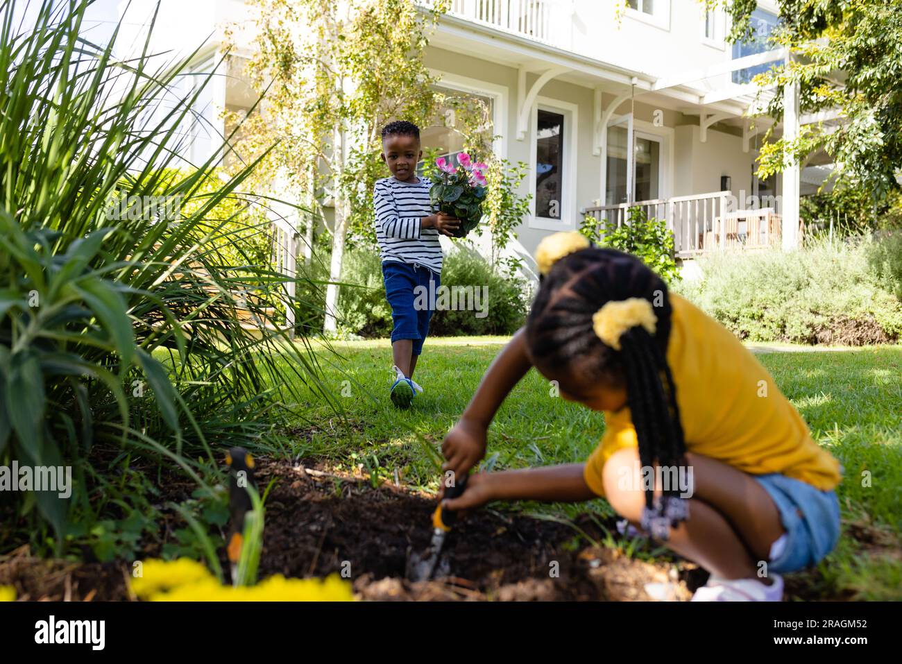 African american boy holding flower pot walking towards sister digging ...