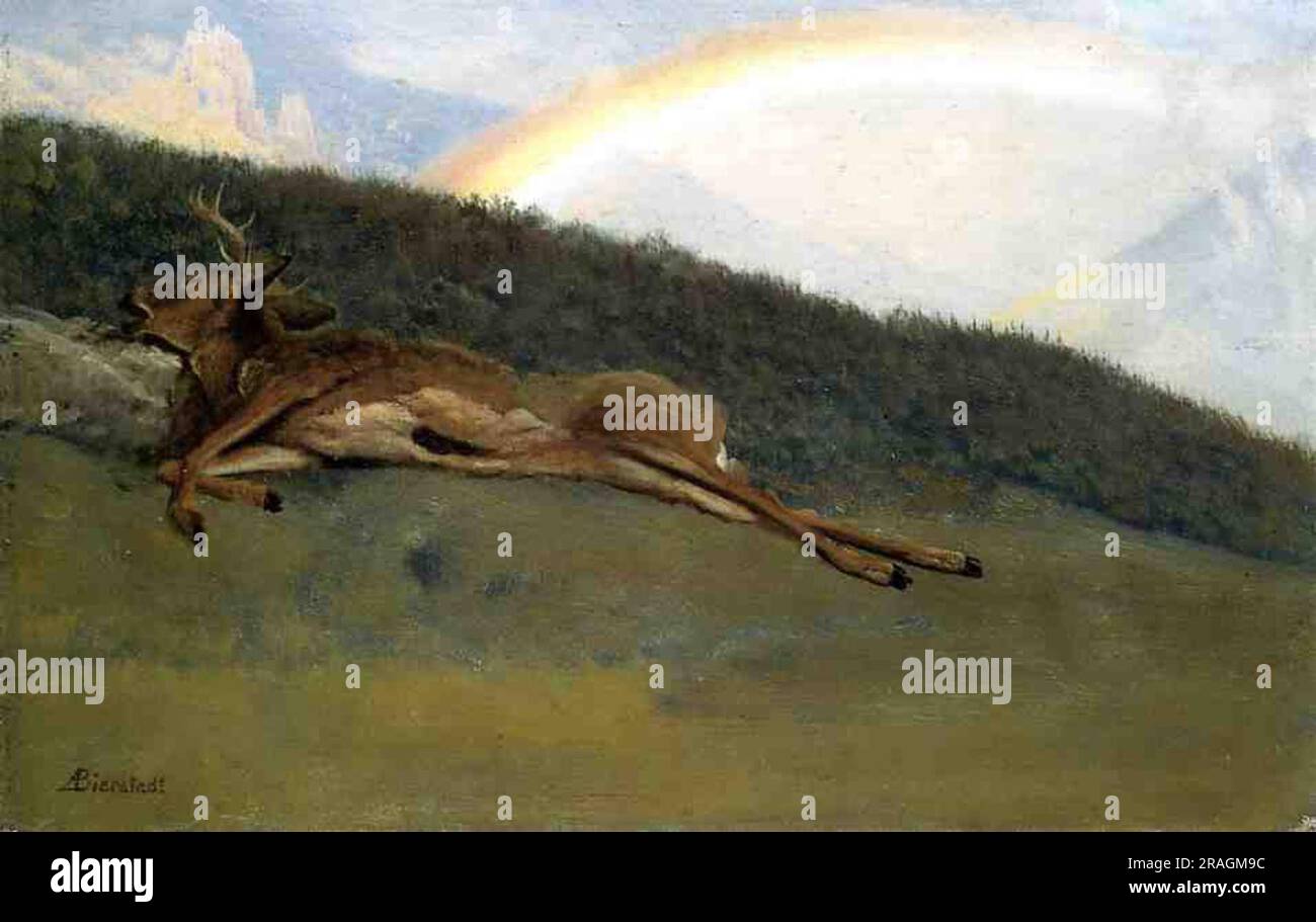 Rainbow over a Fallen Stag Stock Photo - Alamy