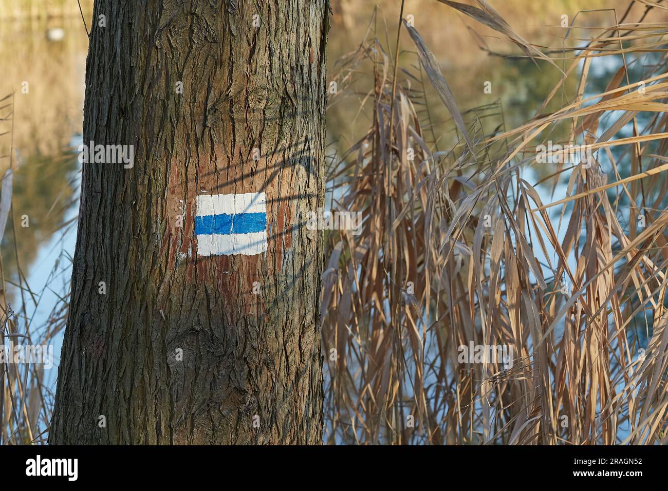 Hiking trail signs Stock Photo - Alamy