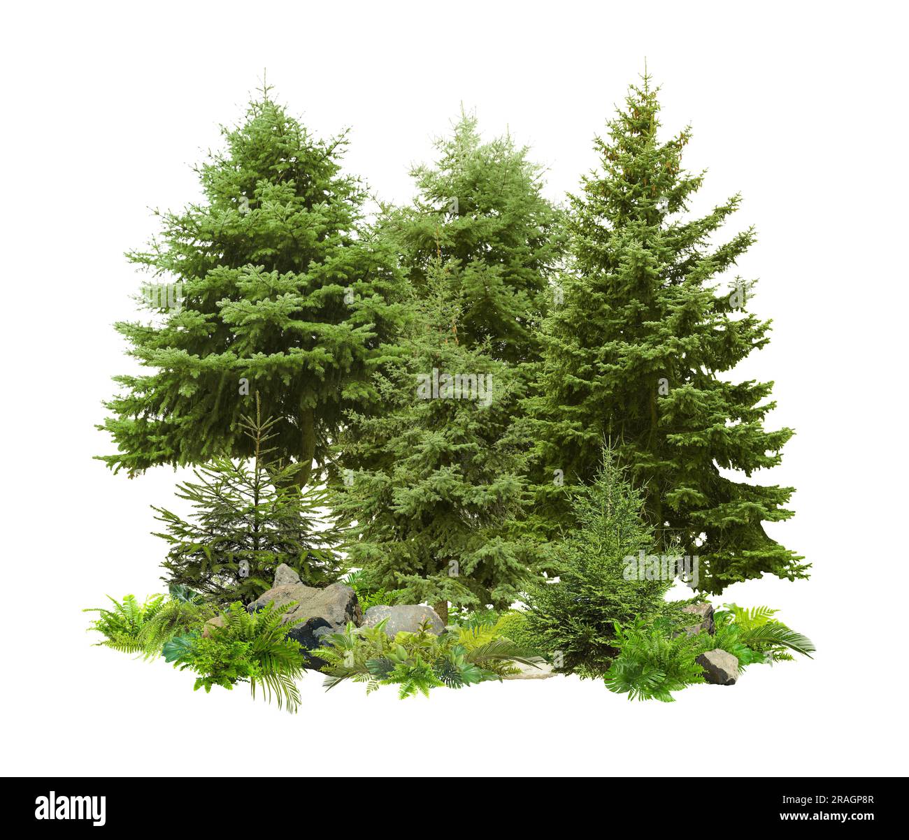 Different green trees and plants on white background Stock Photo - Alamy