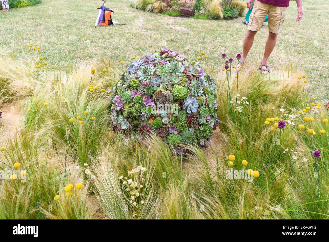 Hampton court flower show press hi-res stock photography and images - Alamy