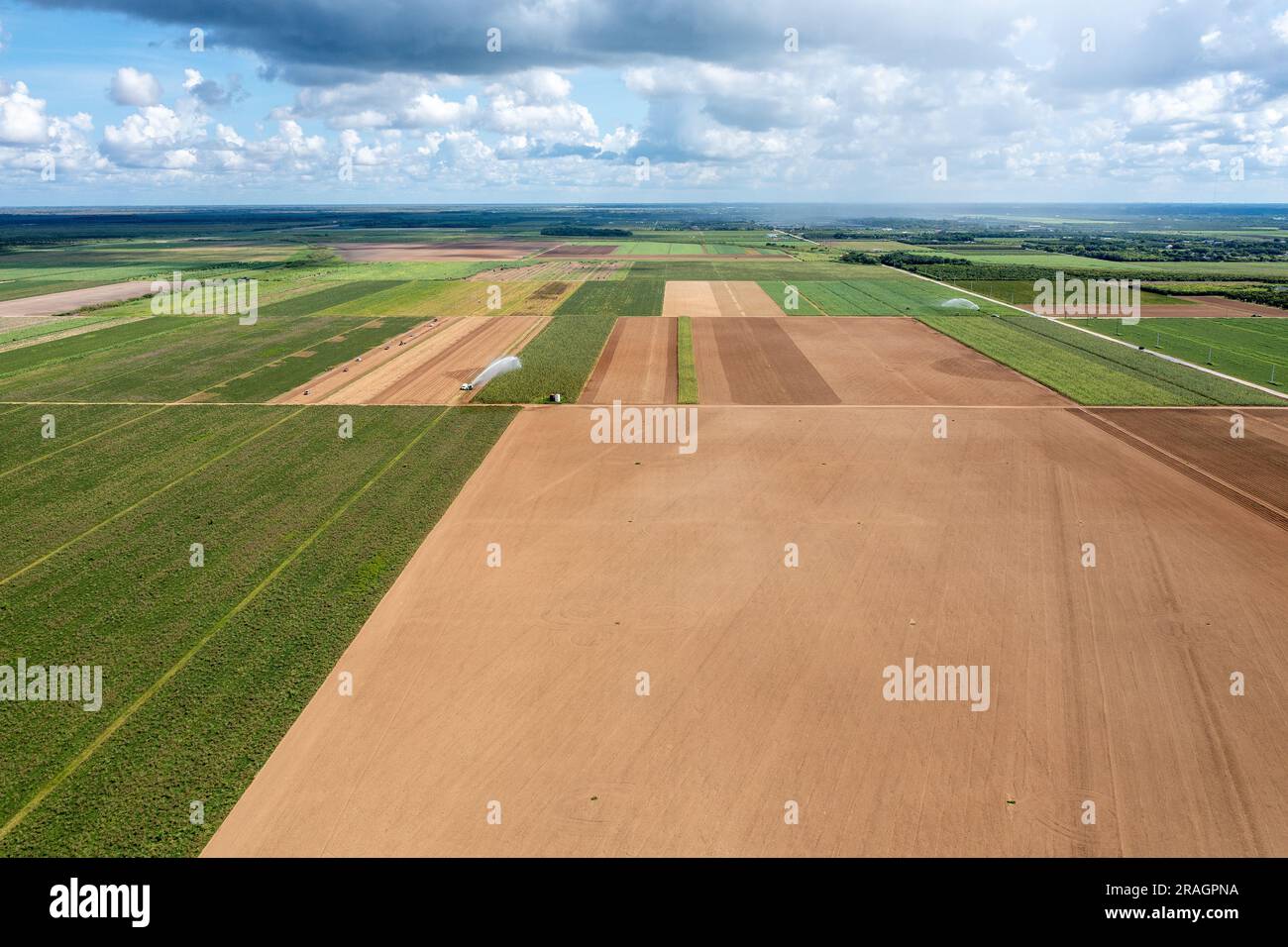 Aerial view of planted and unplanted agricultural fields and irrigation ...
