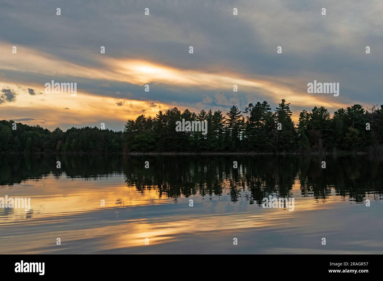 Silhouettes and Light Patches in the North Woods on Clark Lake in the ...