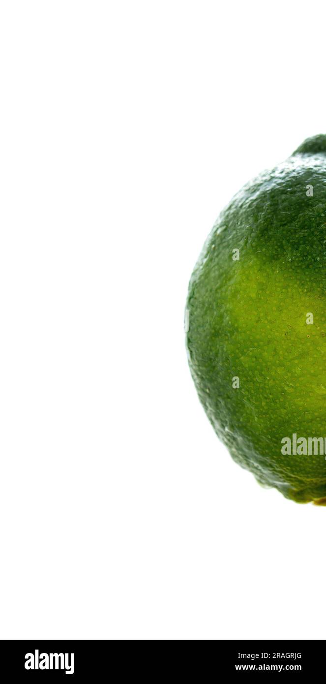 Citric fruits collage tangerine lime in a white background Stock Photo ...