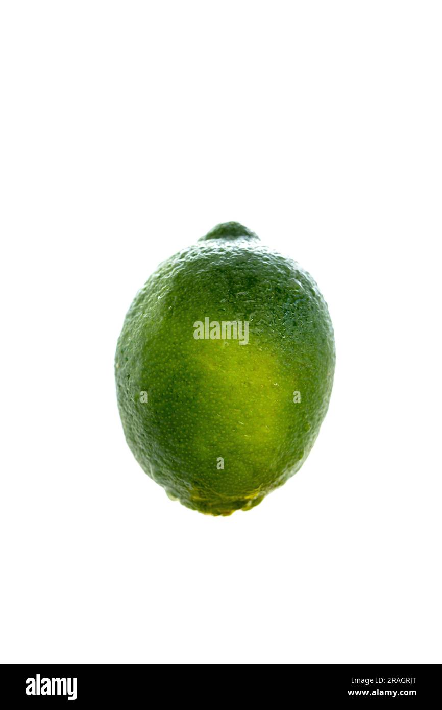Citric fruits collage tangerine lime in a white background Stock Photo ...