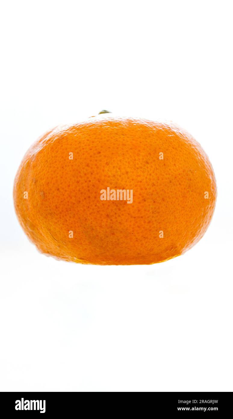 Citric fruits collage tangerine lime in a white background Stock Photo ...