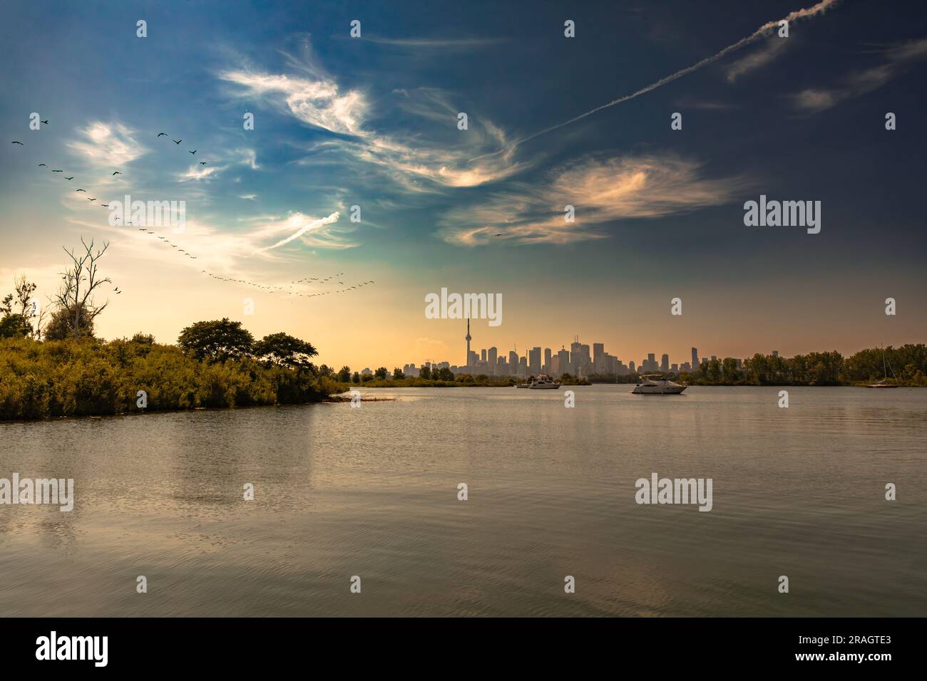 Toronto skyline seen from the Leslie Street spit Stock Photo - Alamy