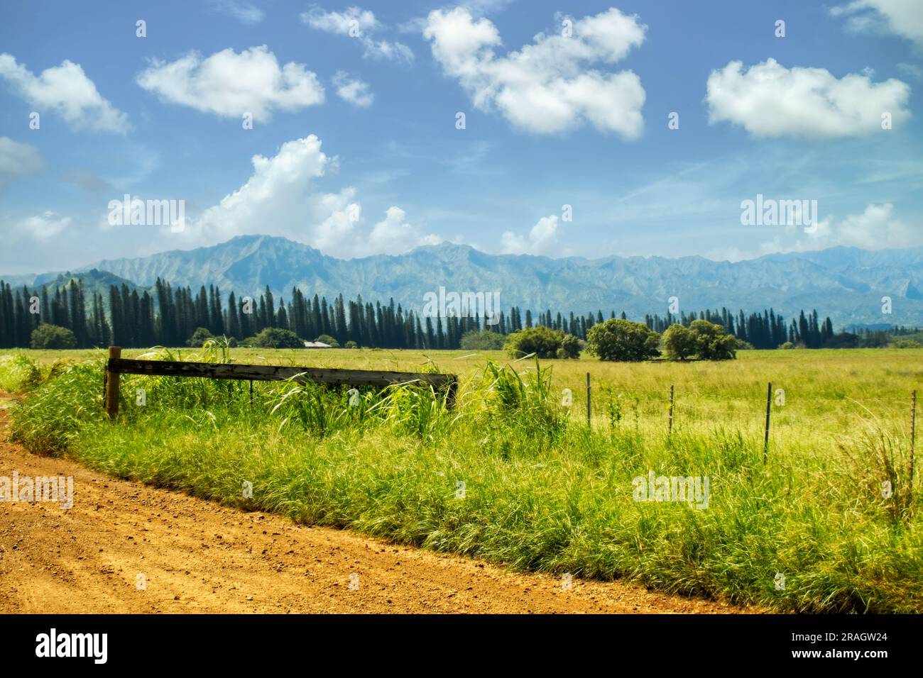 View of Huleia National Wildlife Refuge with trees and mountains in ...