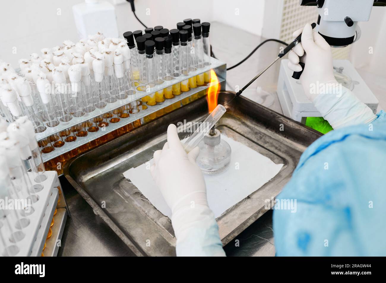 Specialist works on tests in flask investigating bacterium Stock Photo ...