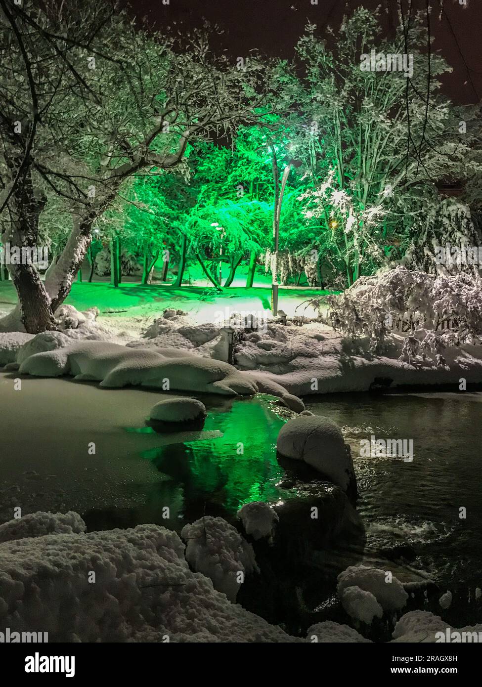 Beautiful snowy night at nature park in Istanbul, Turkey Stock Photo ...