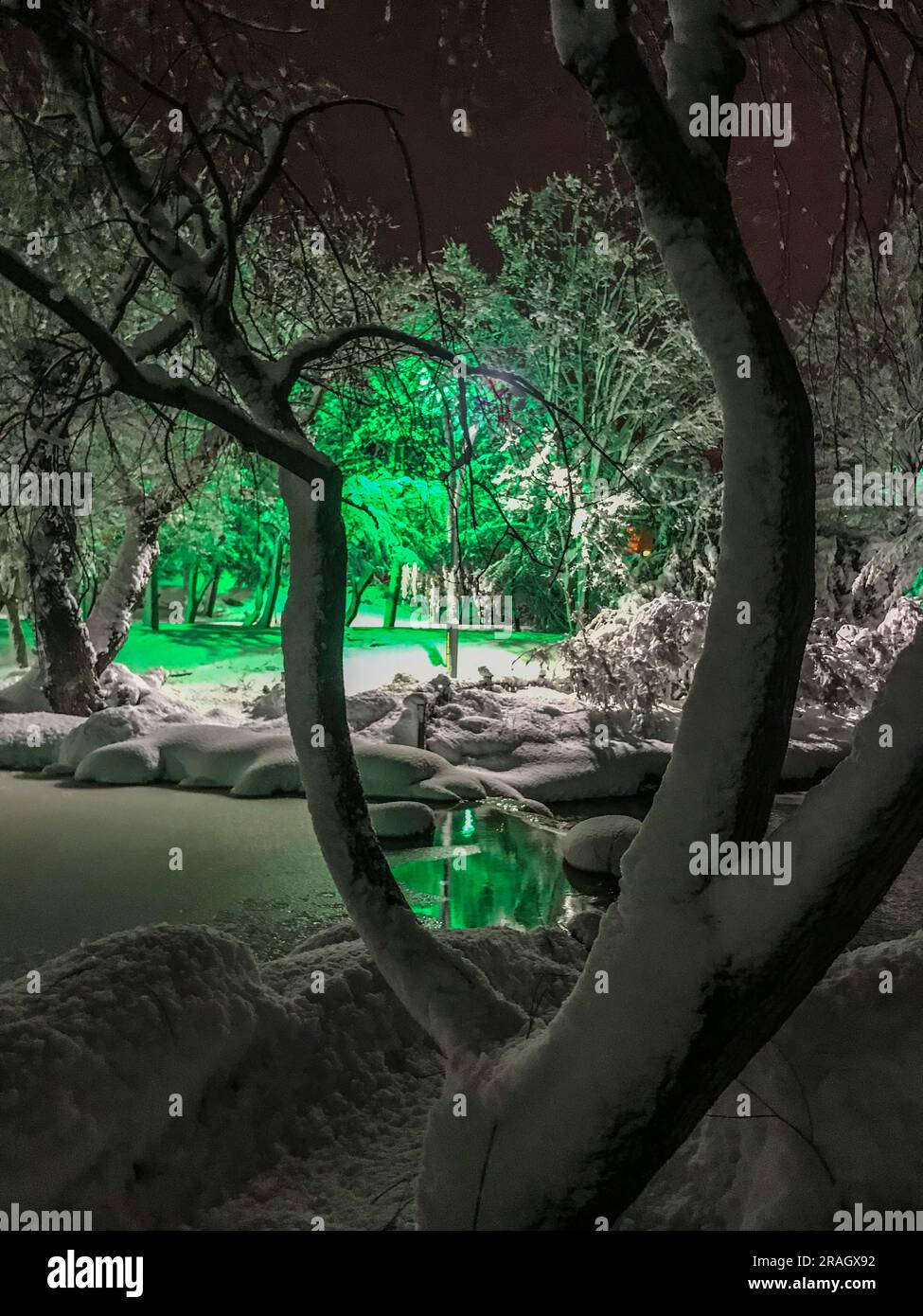 Beautiful snowy night at nature park in Istanbul, Turkey Stock Photo ...