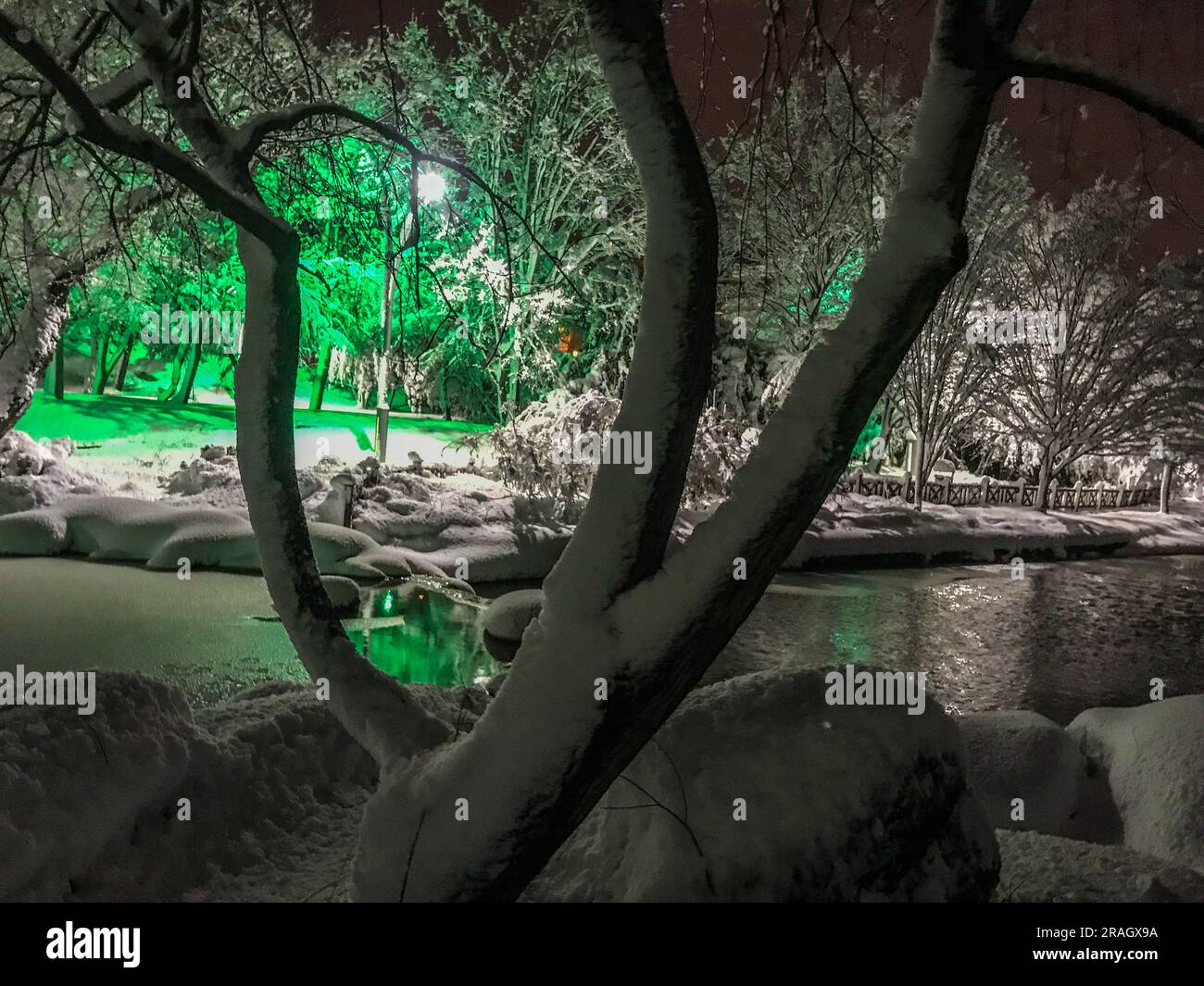 Beautiful snowy night at nature park in Istanbul, Turkey Stock Photo ...