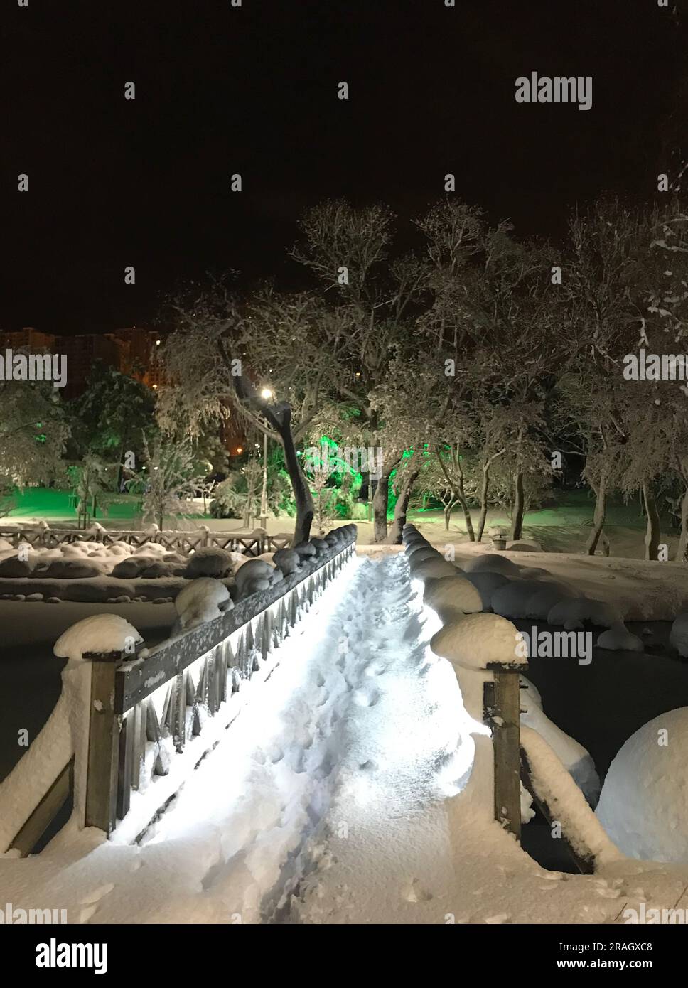 Beautiful footbridge at nature park on snowy night in Istanbul, Turkey ...