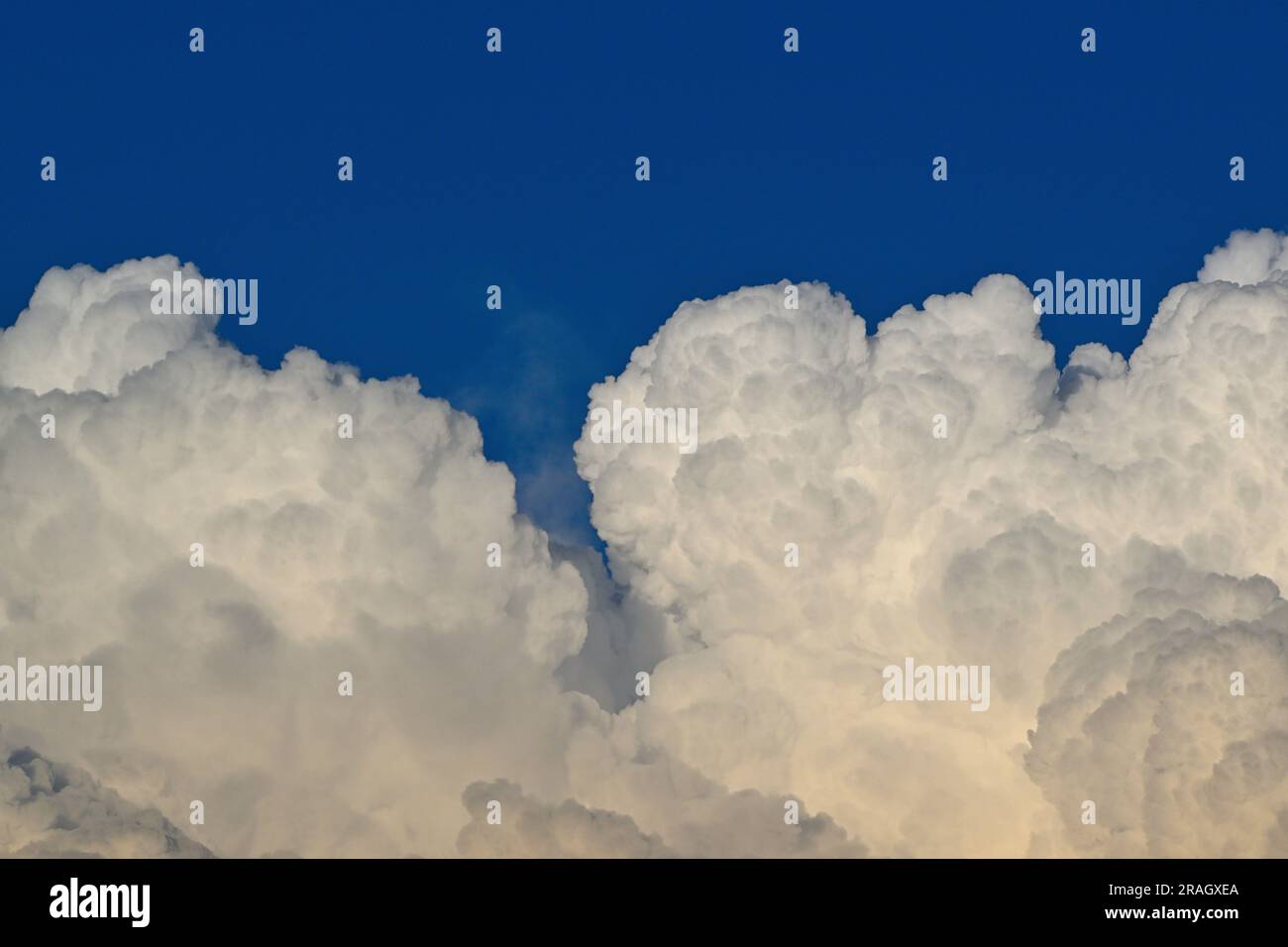A blue evening sky filled with puffy white clouds in rural Alberta ...