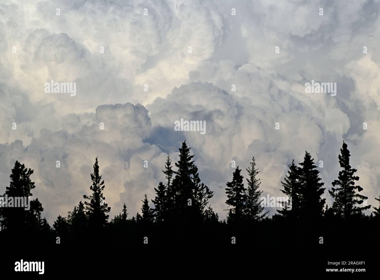Thunder clouds forming over hi-res stock photography and images - Alamy