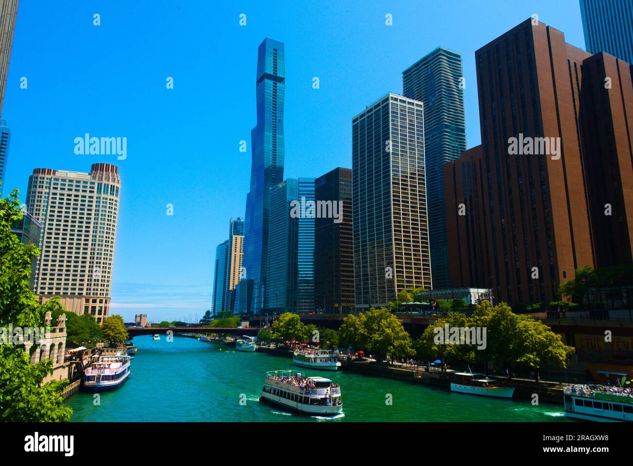 Striking view of Chicago city skyscrapers towering over the Chicago ...