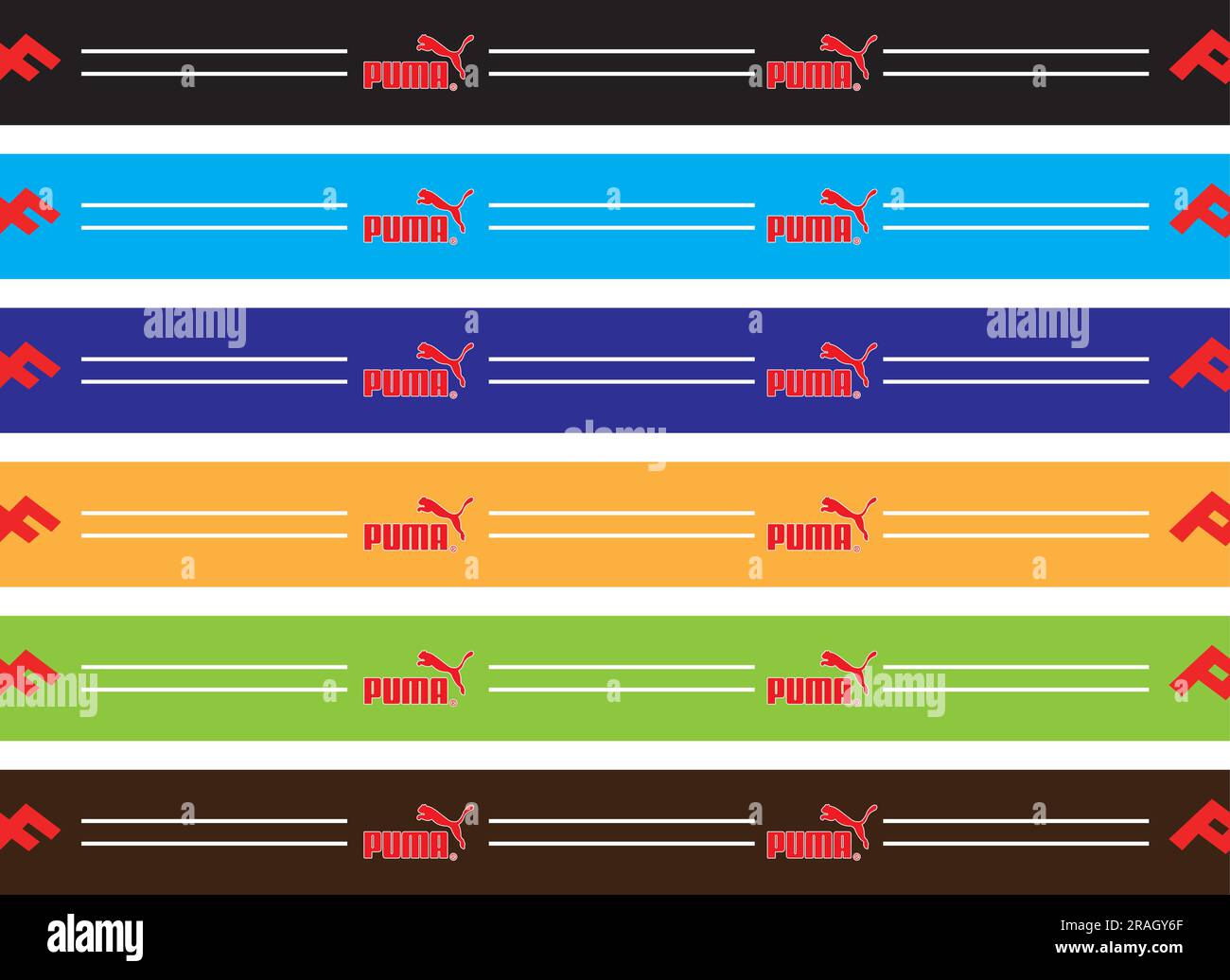 Webbing vector vectors hi-res stock photography and images - Alamy