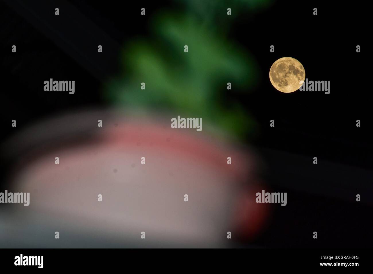 Srinagar, India. 03rd July, 2023. The biggest and brightest super Buck ...