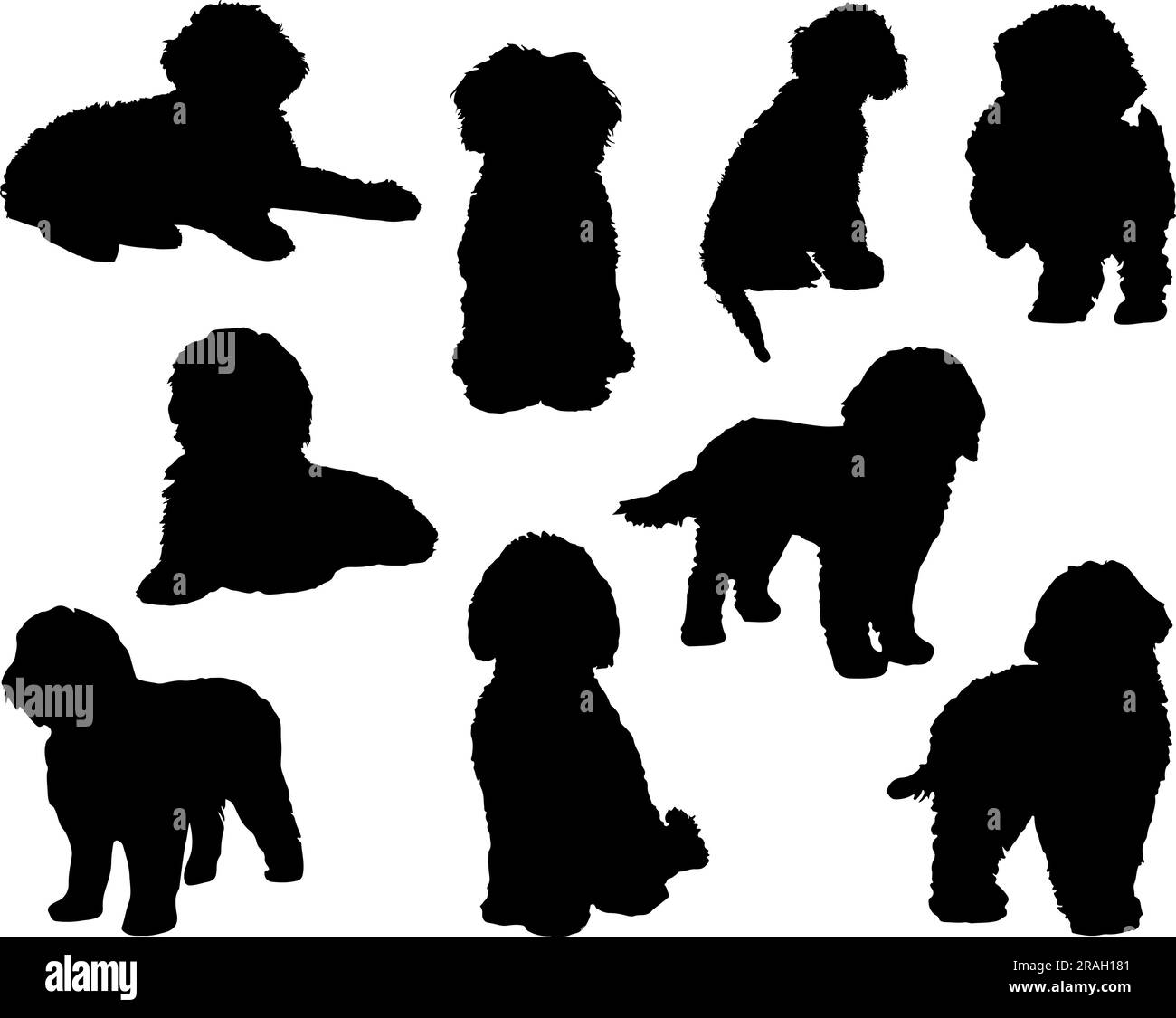 Set of Labradoodle Dog Silhouette Stock Vector Image & Art - Alamy