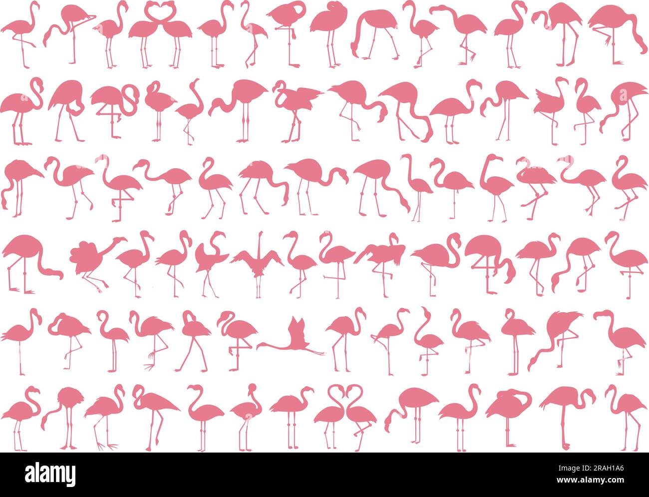 Natural cute flamingo birds Stock Vector Images - Alamy