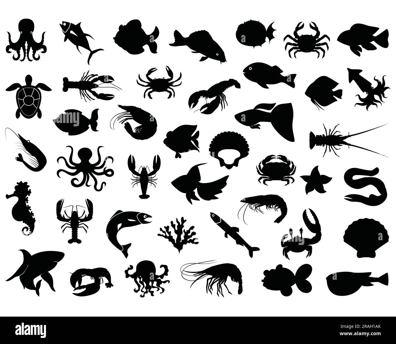 Set seafood sketch marine Black and White Stock Photos & Images - Alamy