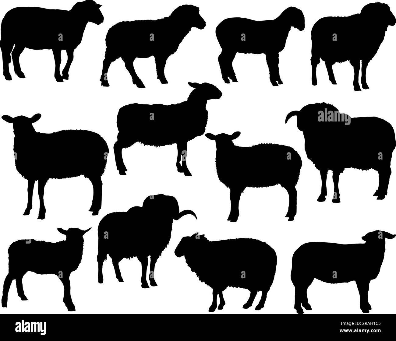Wild sheep zoo Cut Out Stock Images & Pictures - Alamy
