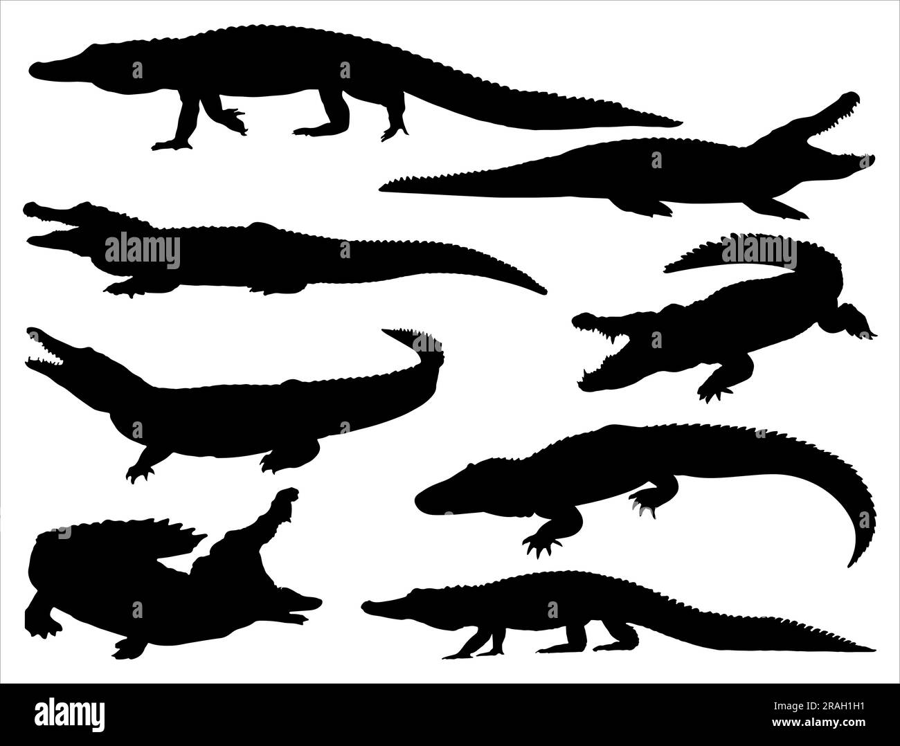 Set of Alligator Silhouette Stock Vector Image & Art - Alamy