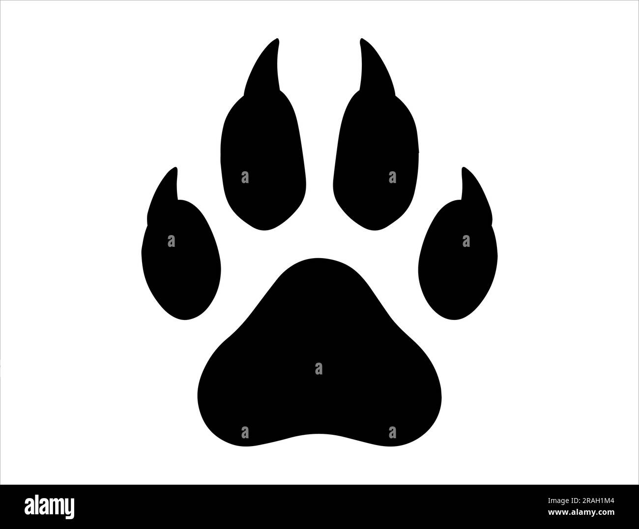 Tail silhouette hi-res stock photography and images - Alamy