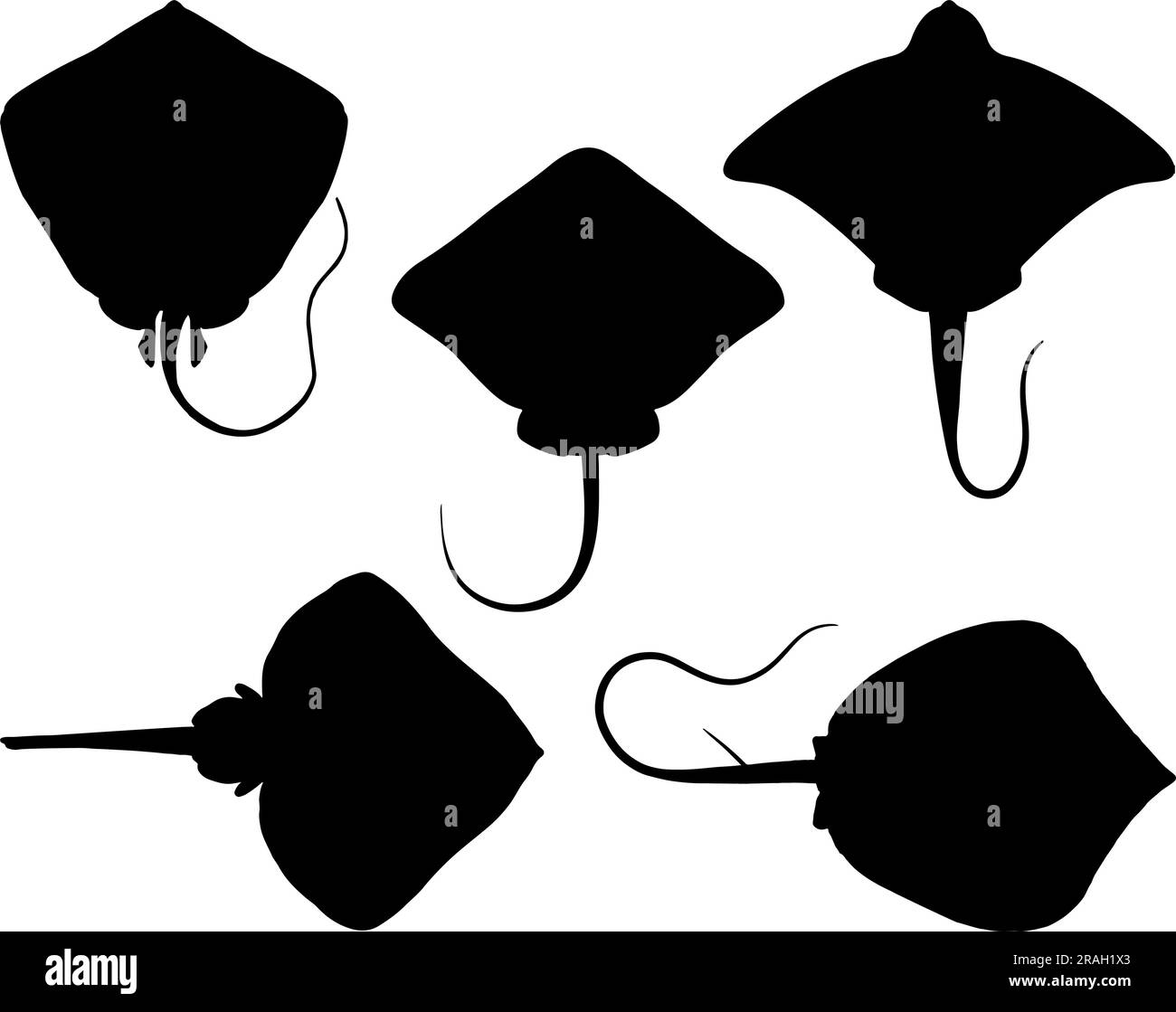 Set of Sting Ray Silhouette Stock Vector Image & Art - Alamy