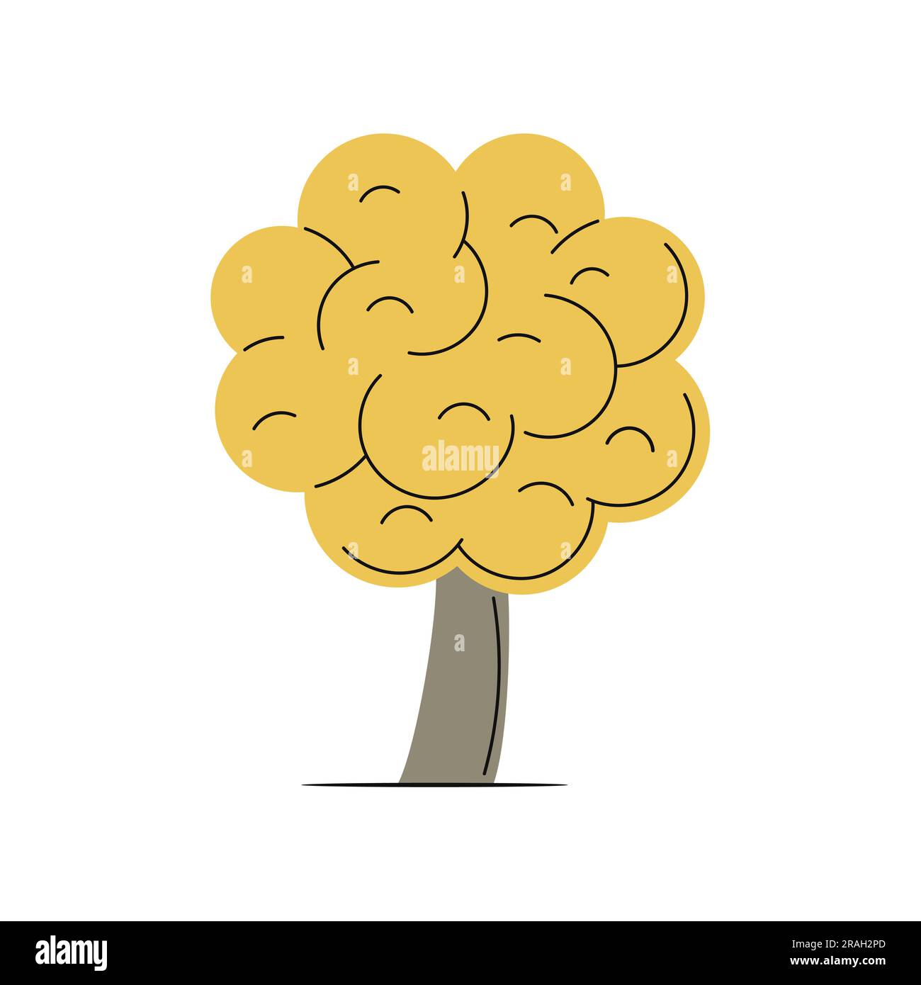 Orange tree in botanical Stock Vector Images - Alamy