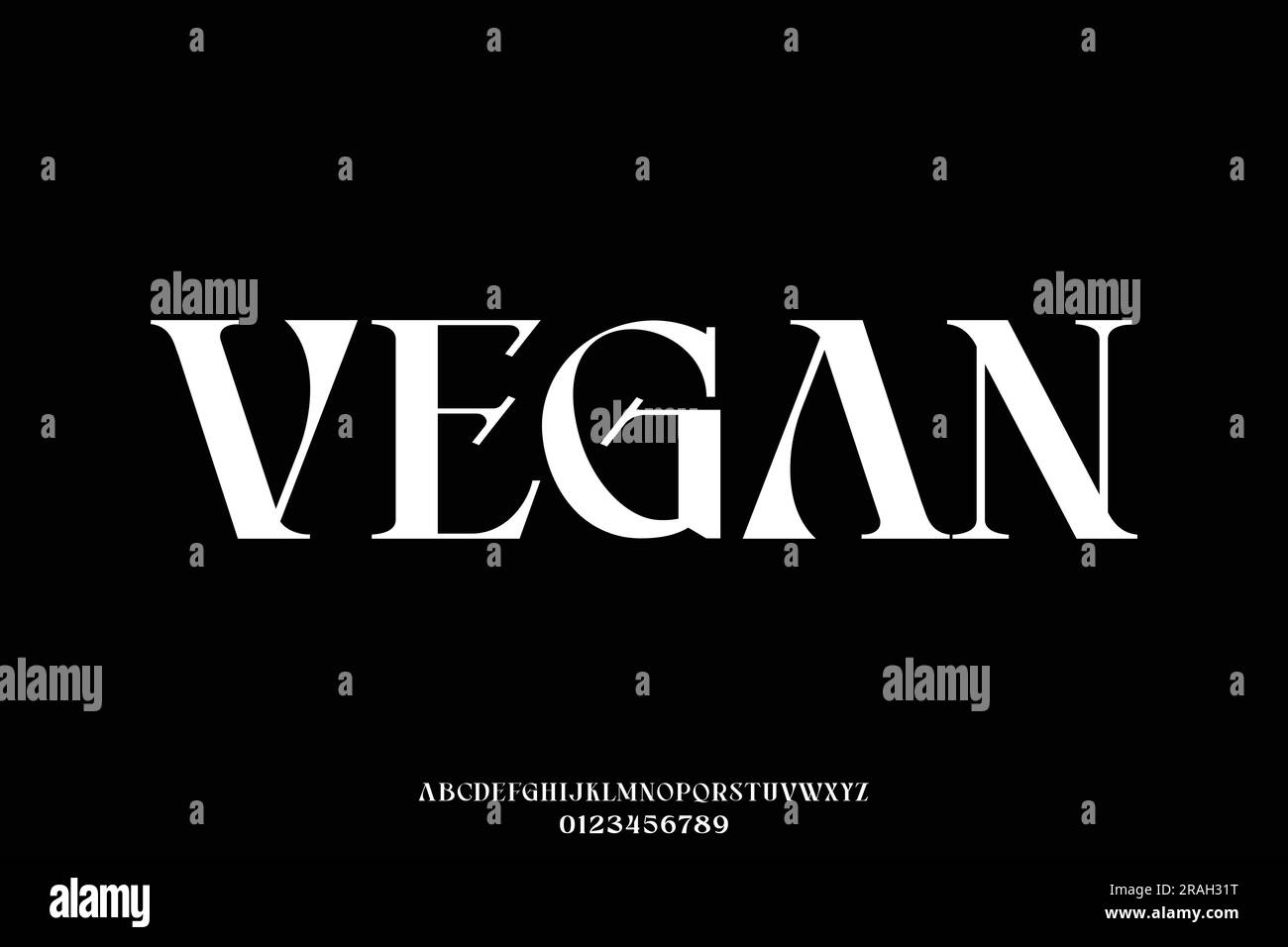 Unique decorative serif typeface display font vector illustration Stock ...