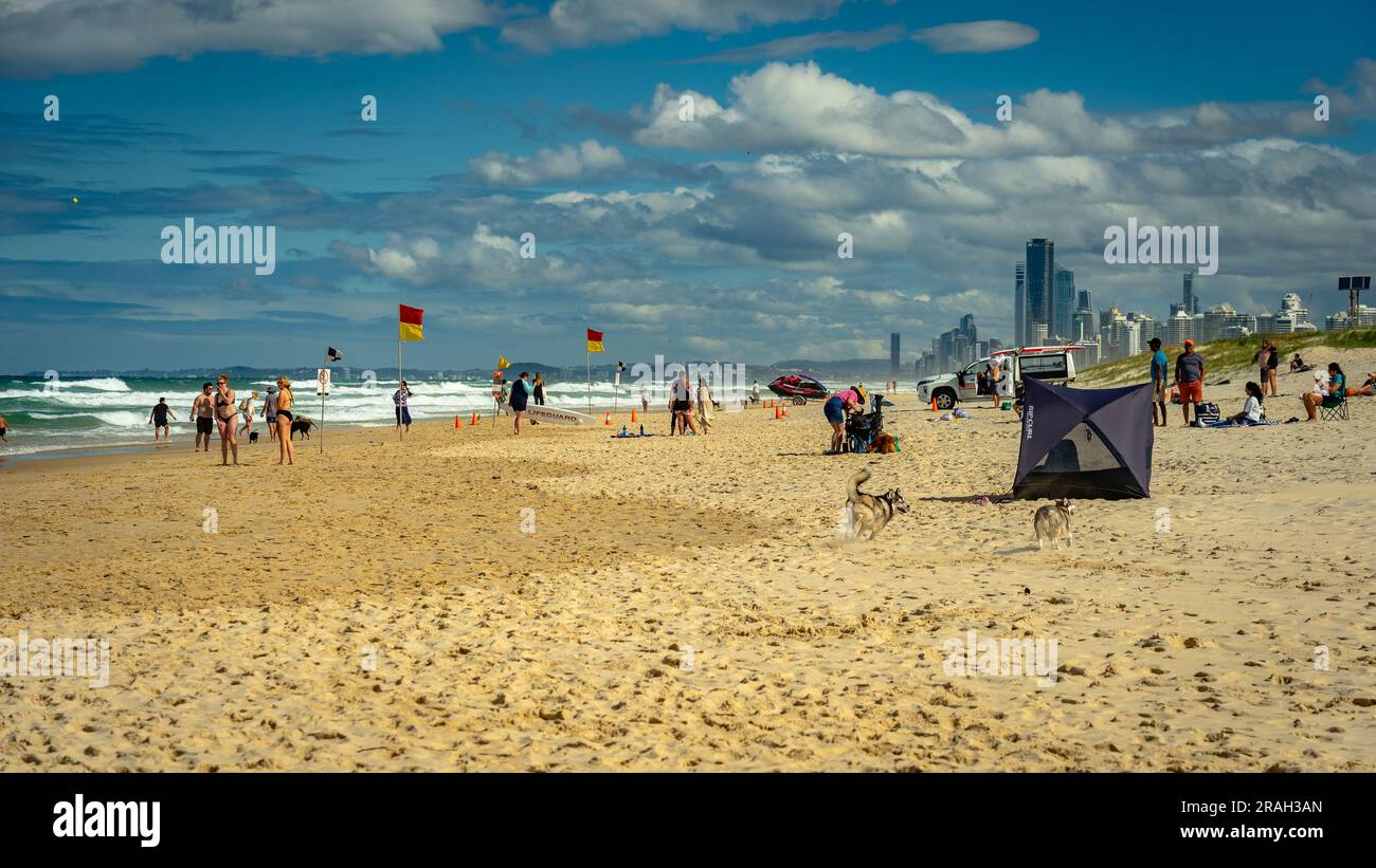 Gold Coast, Queensland, Australia - Busy beach at the Spit Stock Photo ...