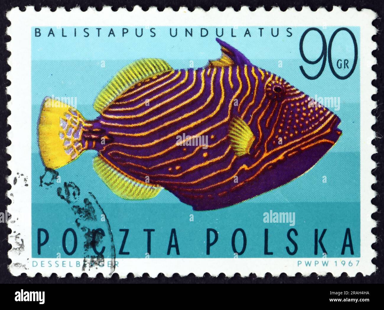 POLAND - CIRCA 1967: a stamp printed in Poland shows the orange-lined ...