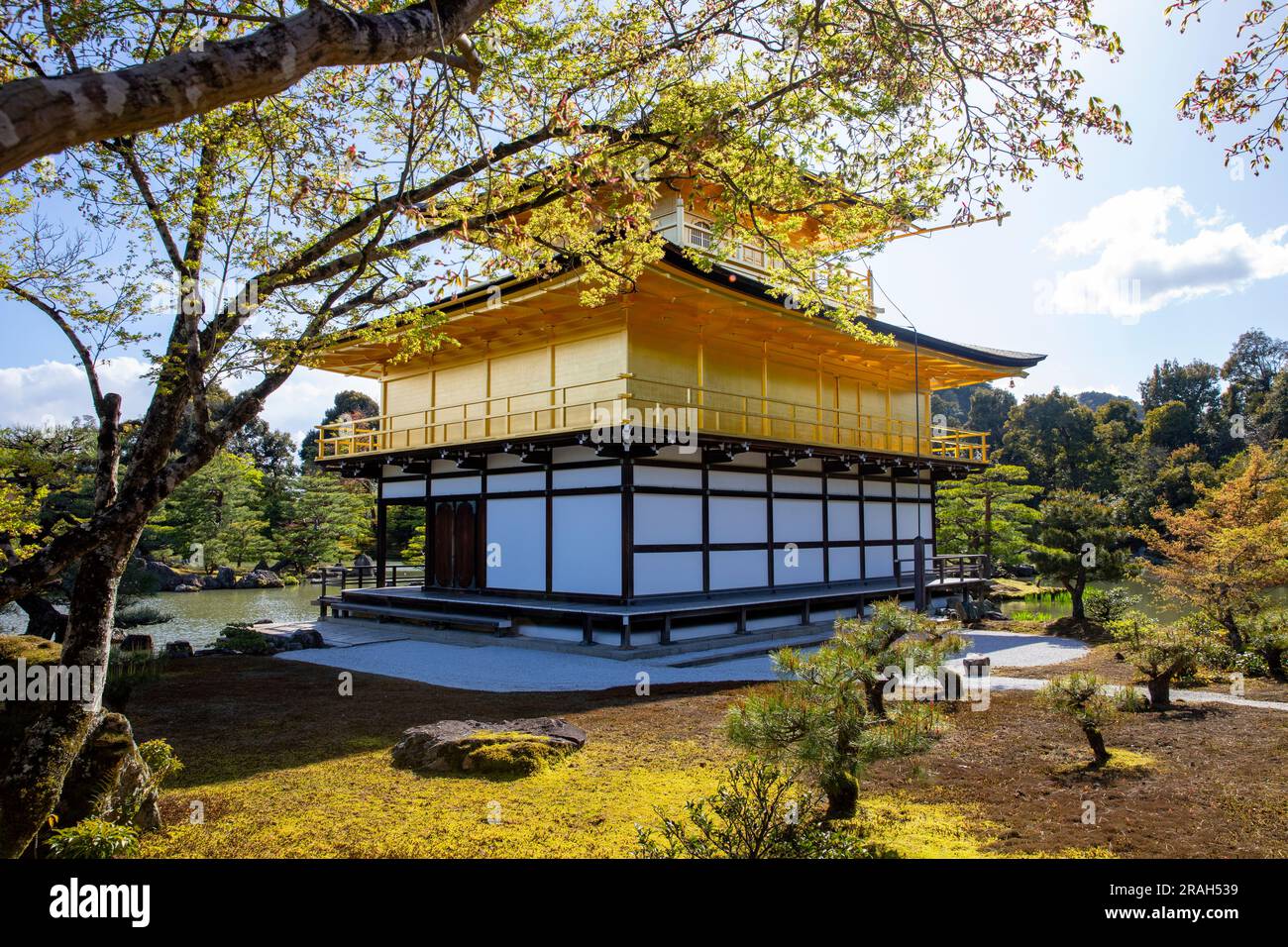Golden Pavilion in Kyoto, world heritage buddhist temple in gold leaf ...