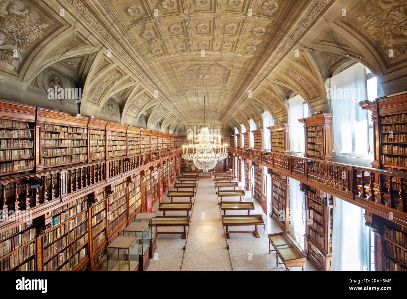 Braidense hi-res stock photography and images - Alamy