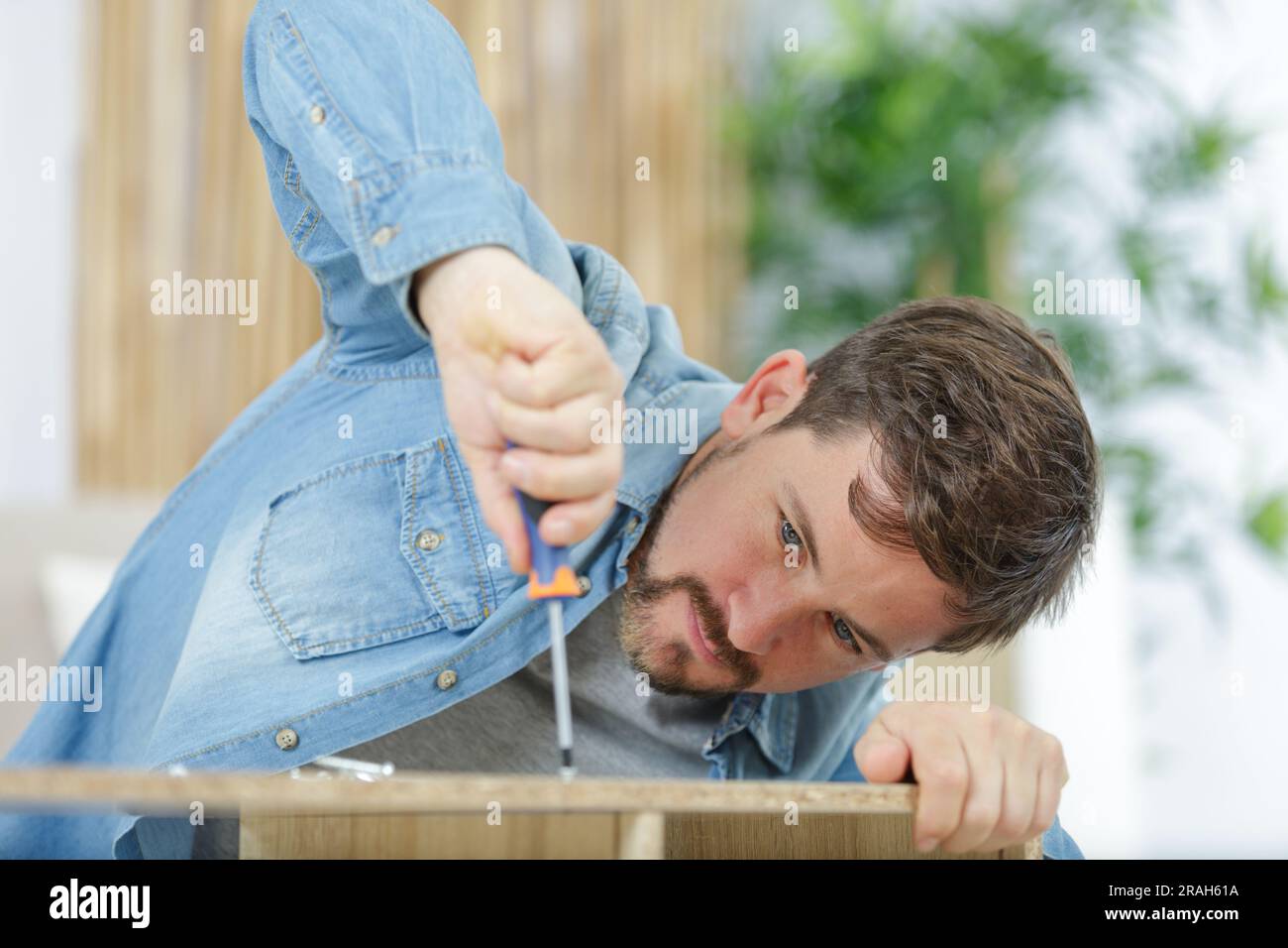man hand using screw driver for diy work Stock Photo - Alamy