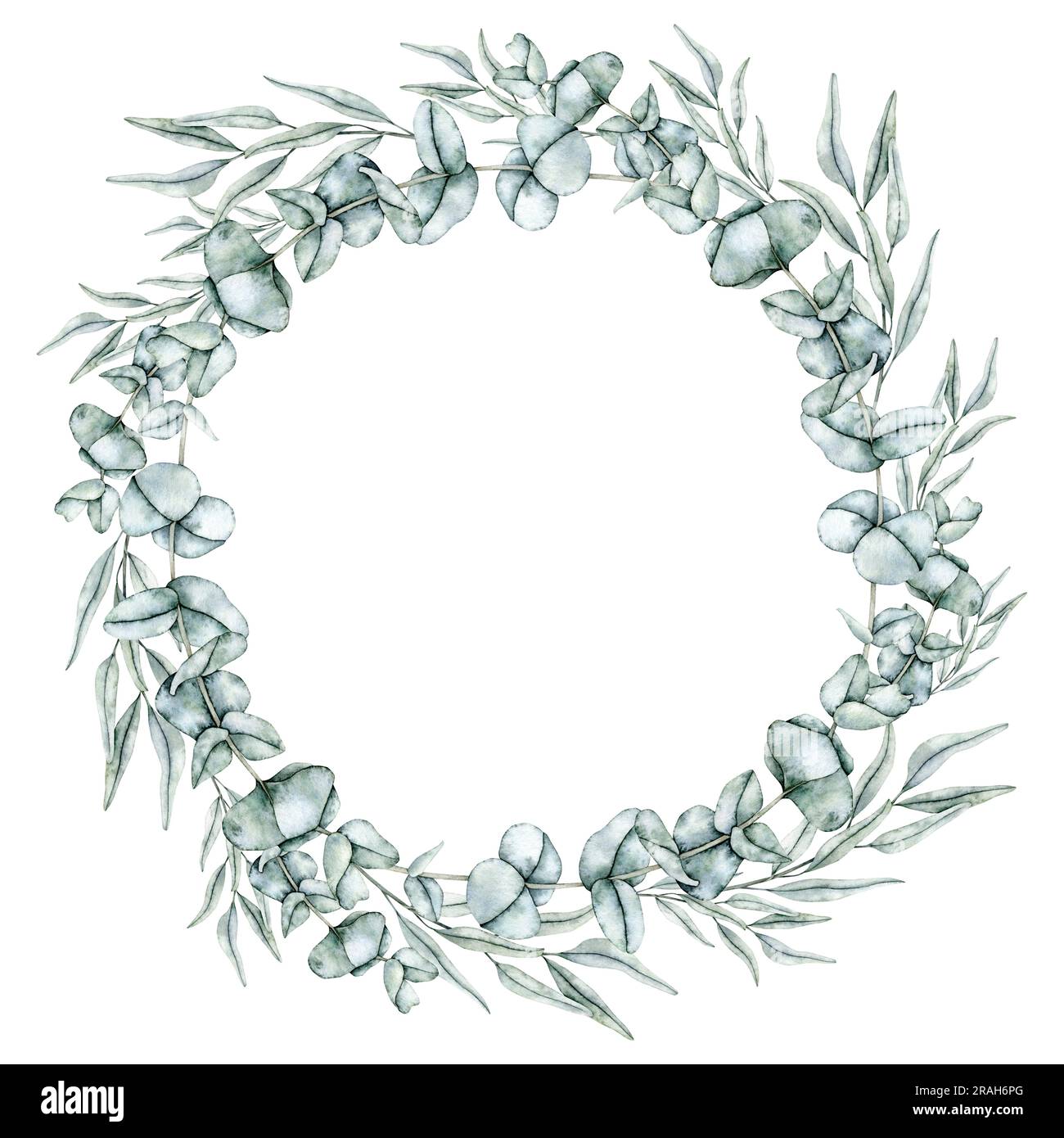 Emerald Eucalyptus leaf branches wreath. Greenery foliage, Olive ...