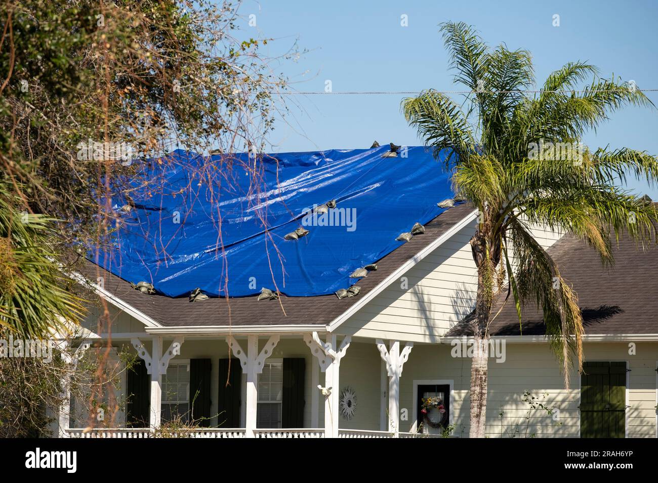 Damaged in hurricane Ian house roof covered with blue protective tarp against rain water leaking ...