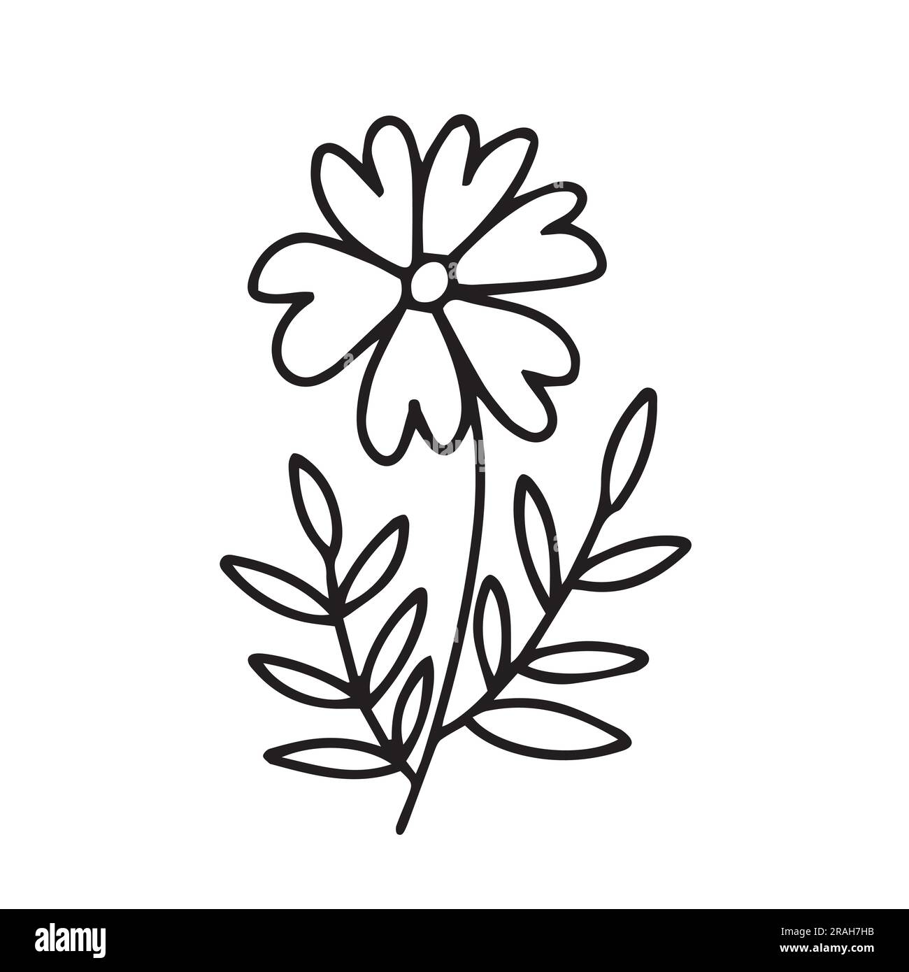 Vector daisy flower clipart Stock Vector Image & Art - Alamy
