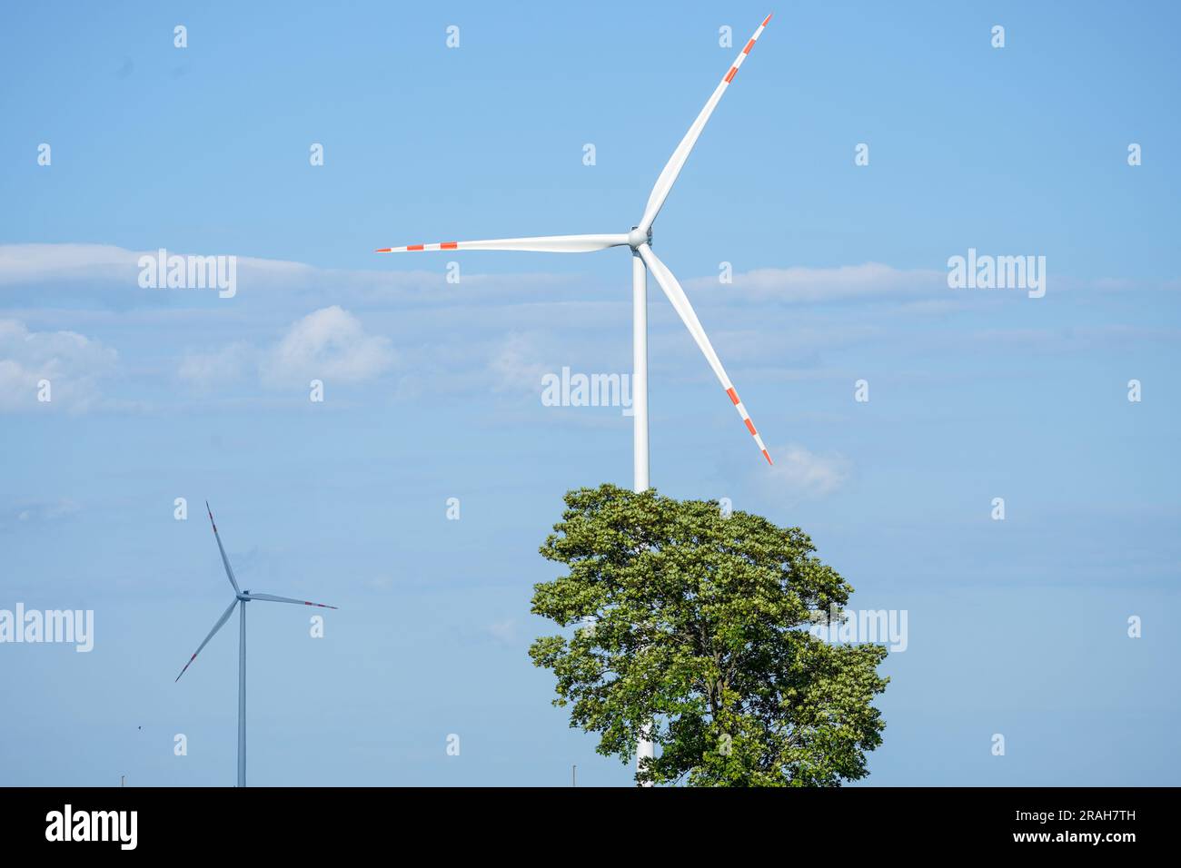 Wind turbines on the field. Renewable energy sources. Electricity ...