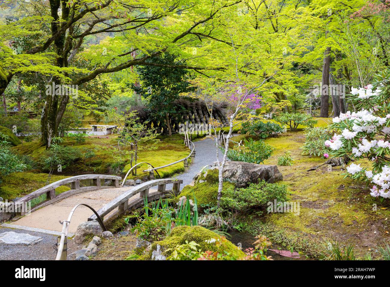 Tenryu - ji temple grounds, Kyoto, Japan,2023 and its famous scenic zen garden, spring weather ...