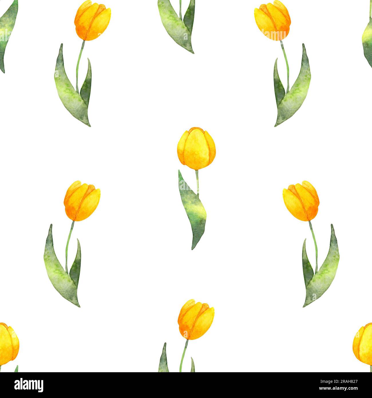 Yellow tulip seamless pattern.Watercolor botanical illustration.Texture ...