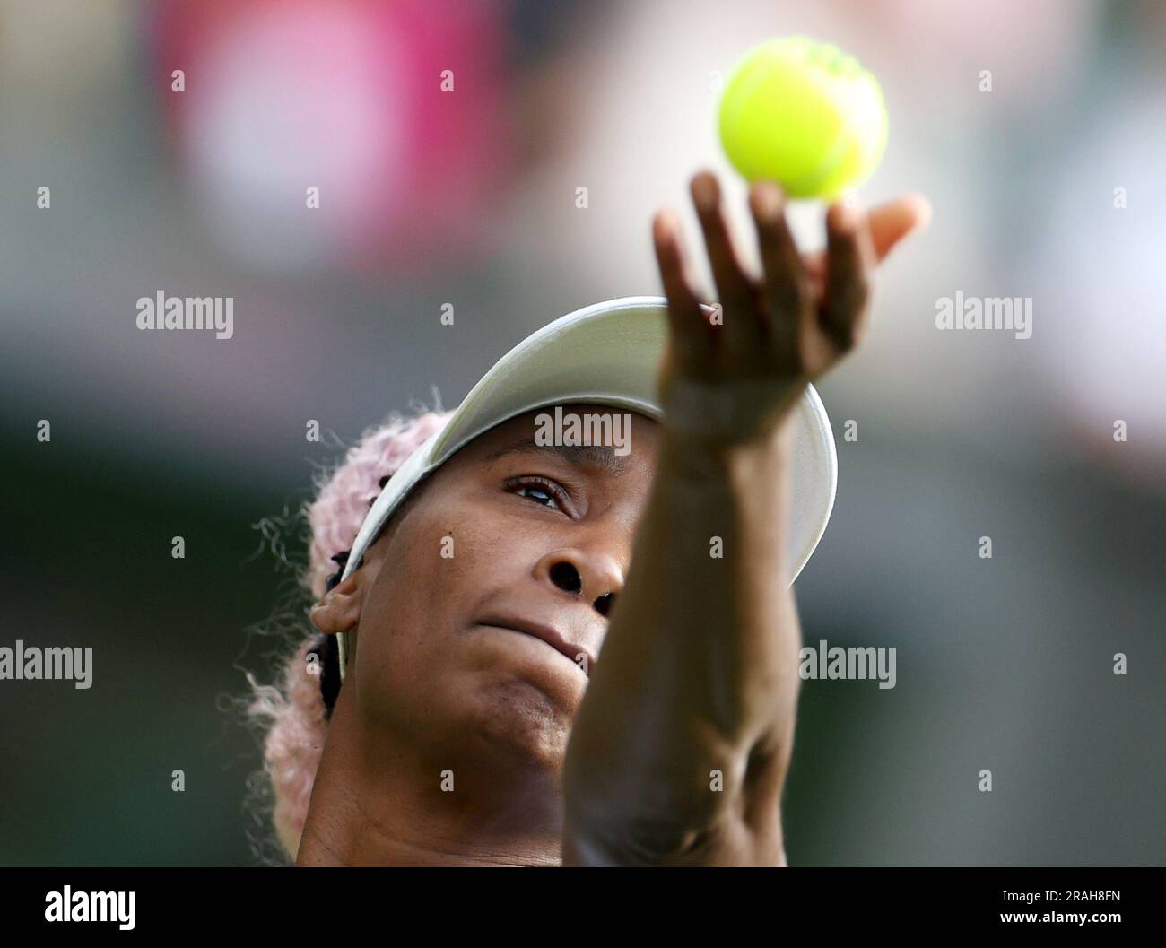Venus williams elina svitolina hi-res stock photography and images - Alamy