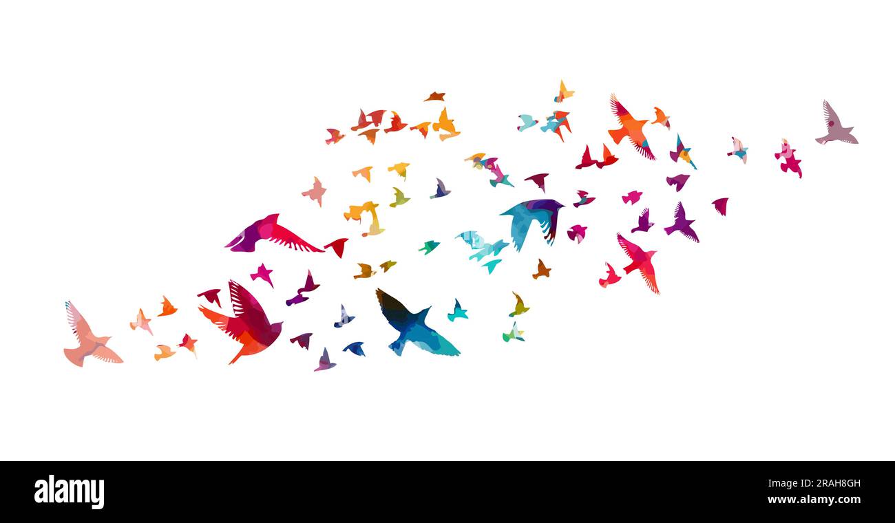 A flock of flying colored birds. Vector illustration Stock Vector Image ...