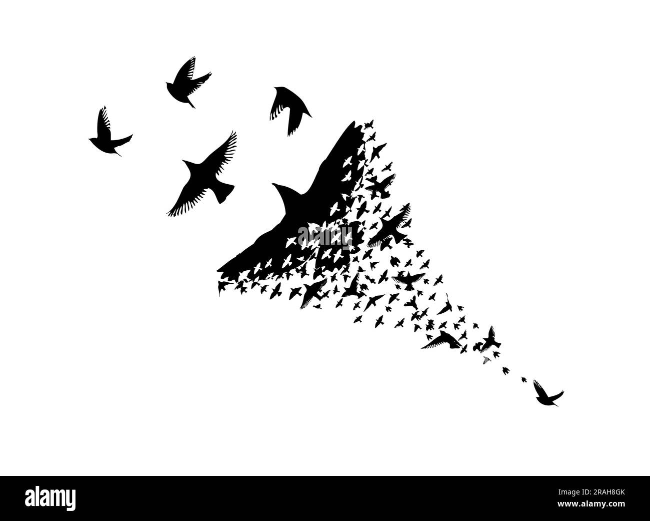 A flock of flying birds. Abstraction one bird and many small ones ...
