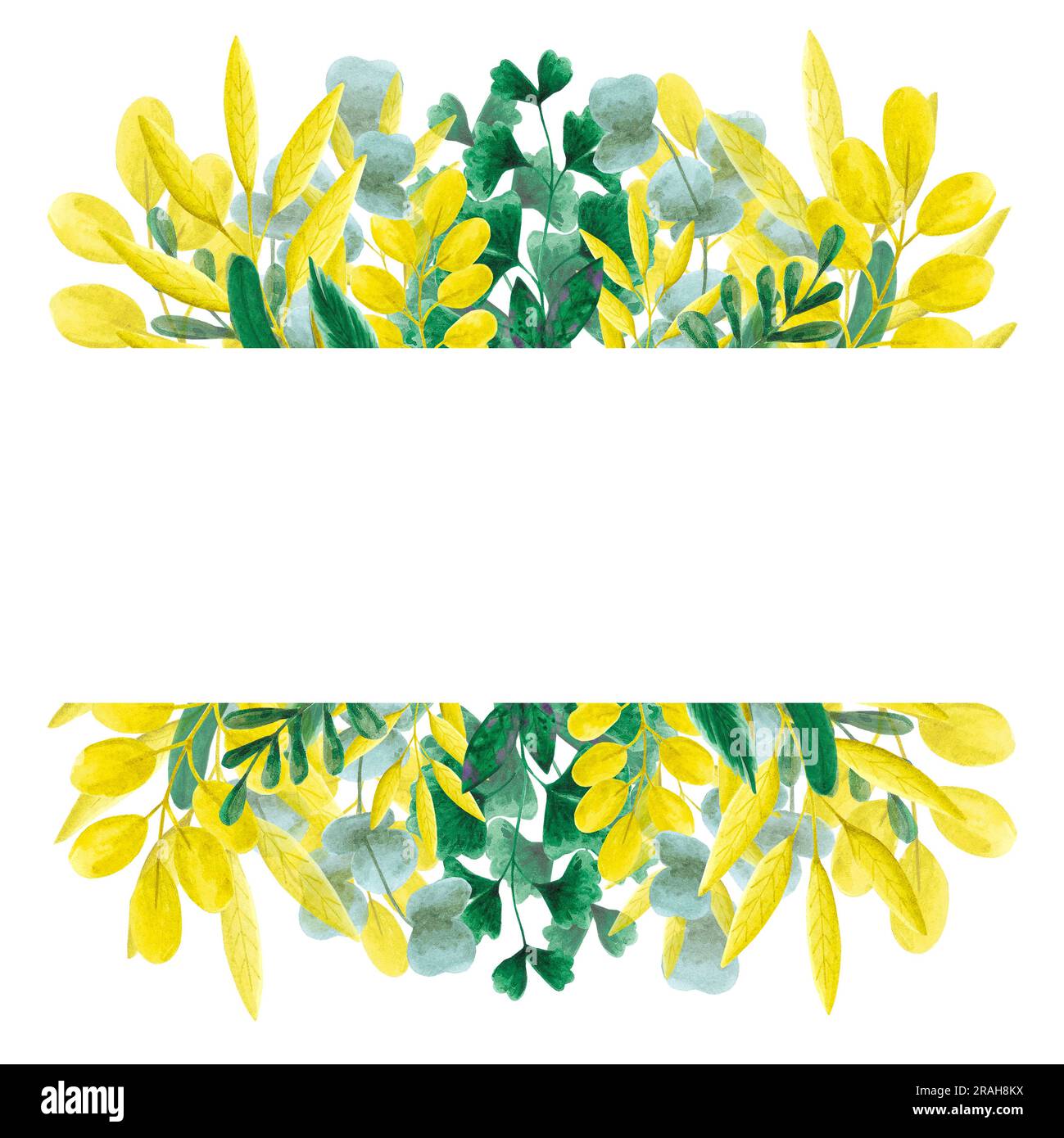 Hand drawn watercolor leaves and herbs boarder frame isolated on white ...