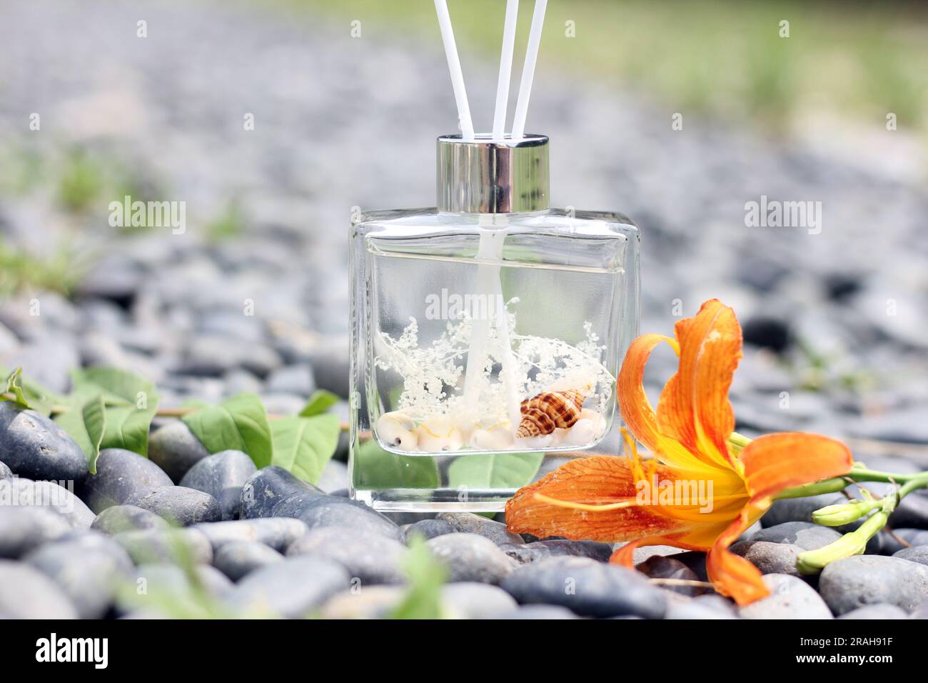 Clear glass bottle diffuser with sea shells and cotton fragrance ...