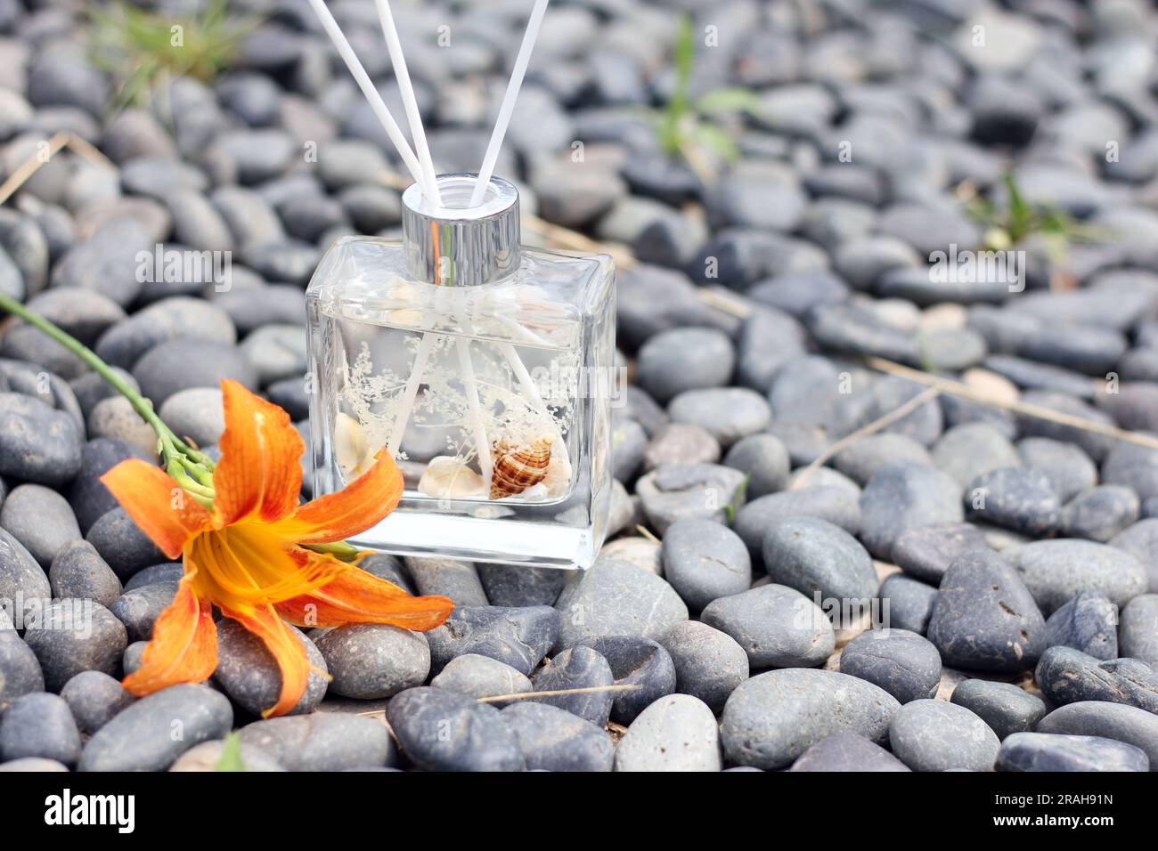 Clear glass bottle diffuser with sea shells and cotton fragrance ...
