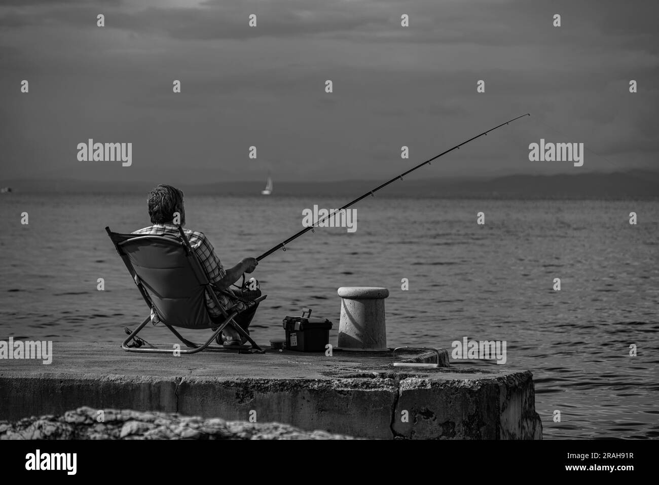 Yellow perch fish Black and White Stock Photos & Images - Alamy